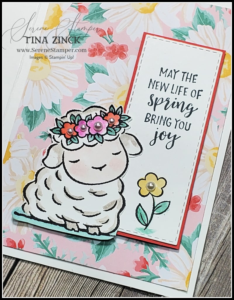 Springtime Joy Card Class in the Mail - Tina Zinck, Stampin' Up ...