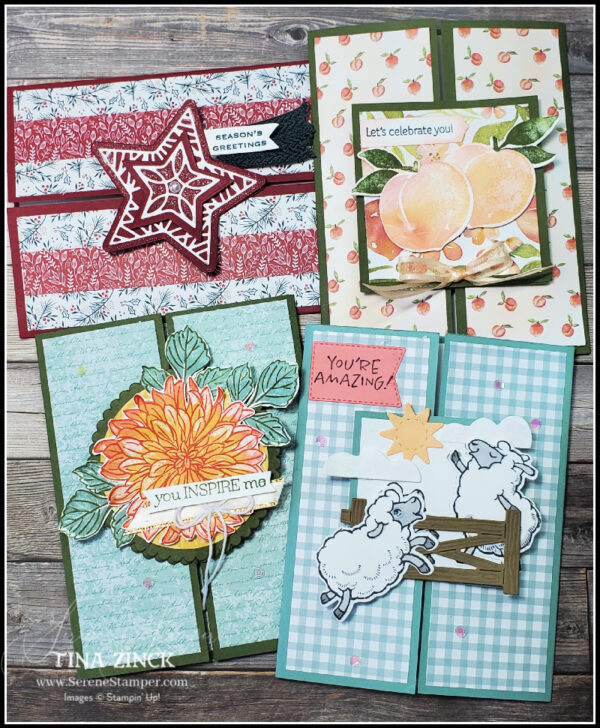Slide & Lock Fun Fold Cards - Tina Zinck, Stamping Artist & Creative ...