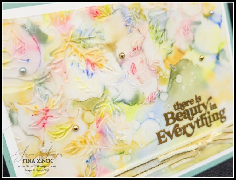 Embossing Folder with Vellum Blends Technique VIDEO - Tina Zinck ...