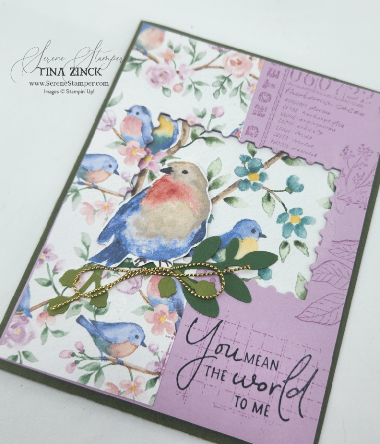 Three Card Designs with Flight & Airy DSP - Tina Zinck, Stamping Artist ...
