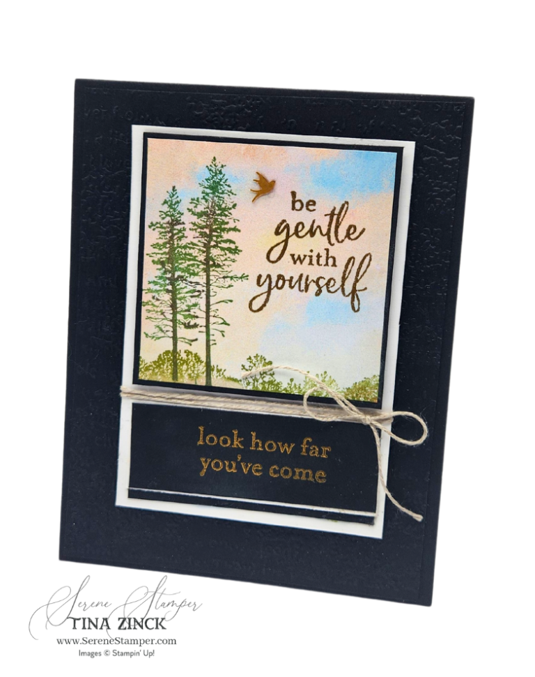Six Cards With One Layout | Polaroid Cards! - Tina Zinck, Stampin' Up ...