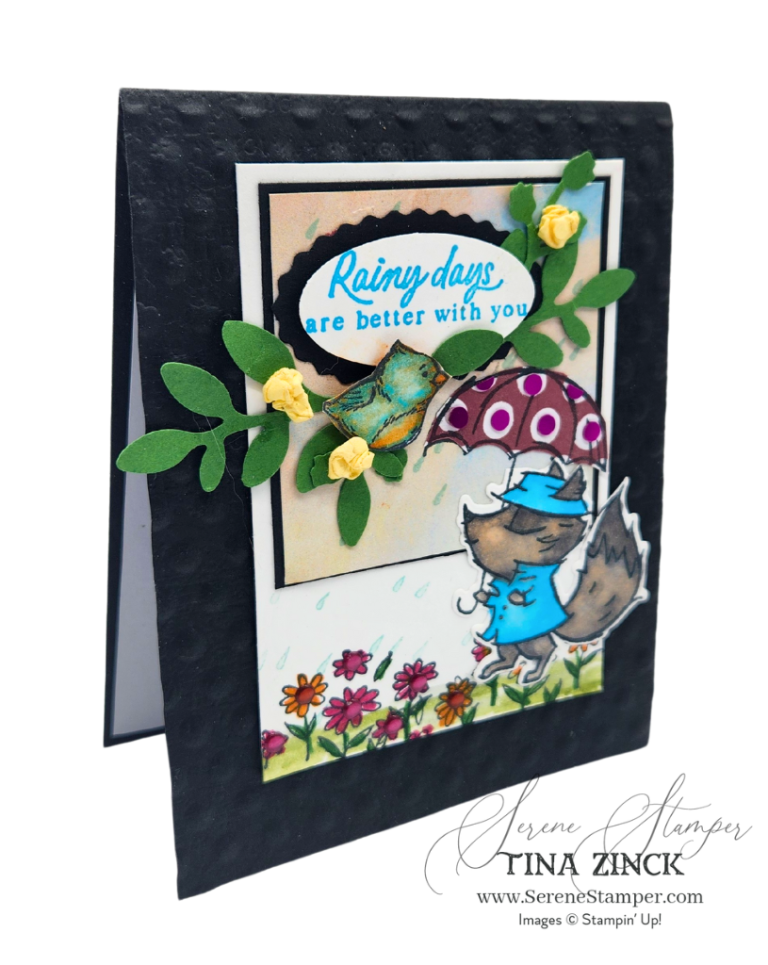 Six Cards With One Layout | Polaroid Cards! - Tina Zinck, Stampin' Up ...
