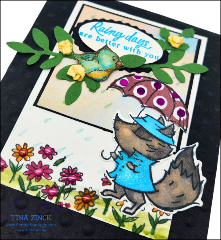 Six Cards With One Layout | Polaroid Cards! - Tina Zinck, Stampin' Up ...